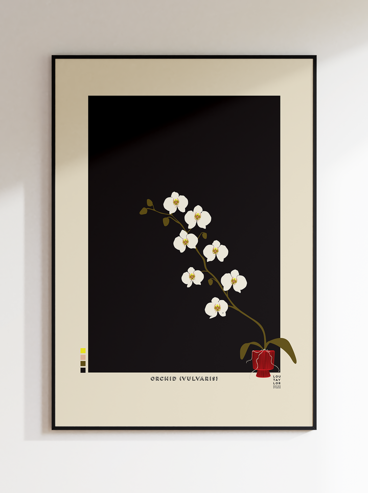 LIMITED EDITION PRINTS – Lou Taylor